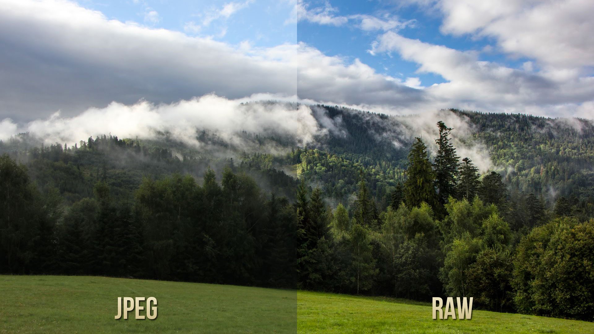 Le Migliori App Per Scattare Foto RAW Da IPhone IPhonari it